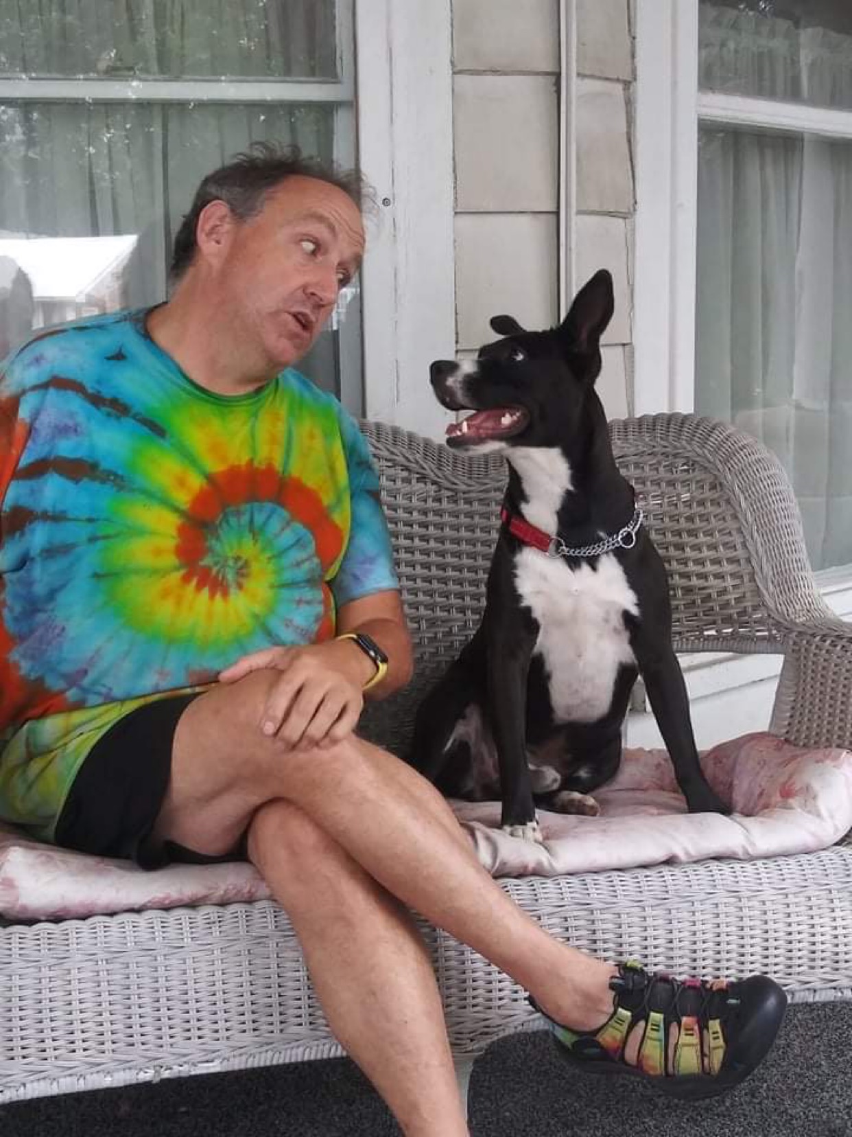 Our Graduates from the ELLAS Animals INC service dog training program