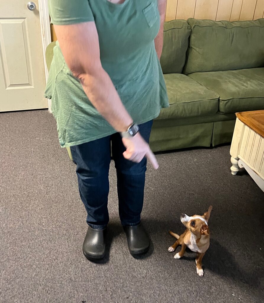 Autism Service Dog Tasks, Work, and Benefits - ELLAS Animals INC