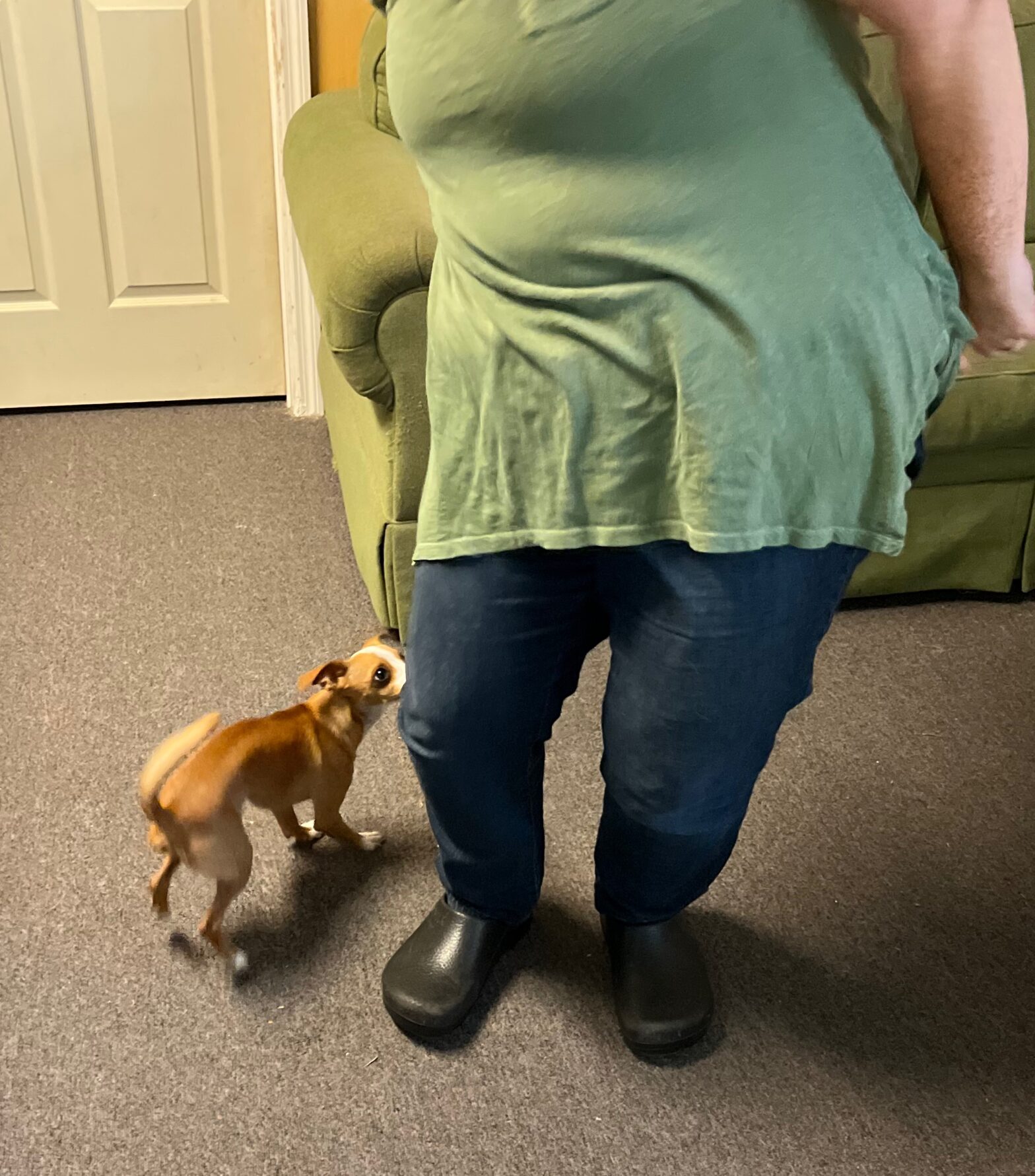 Autism Service Dog Tasks, Work, and Benefits - ELLAS Animals INC