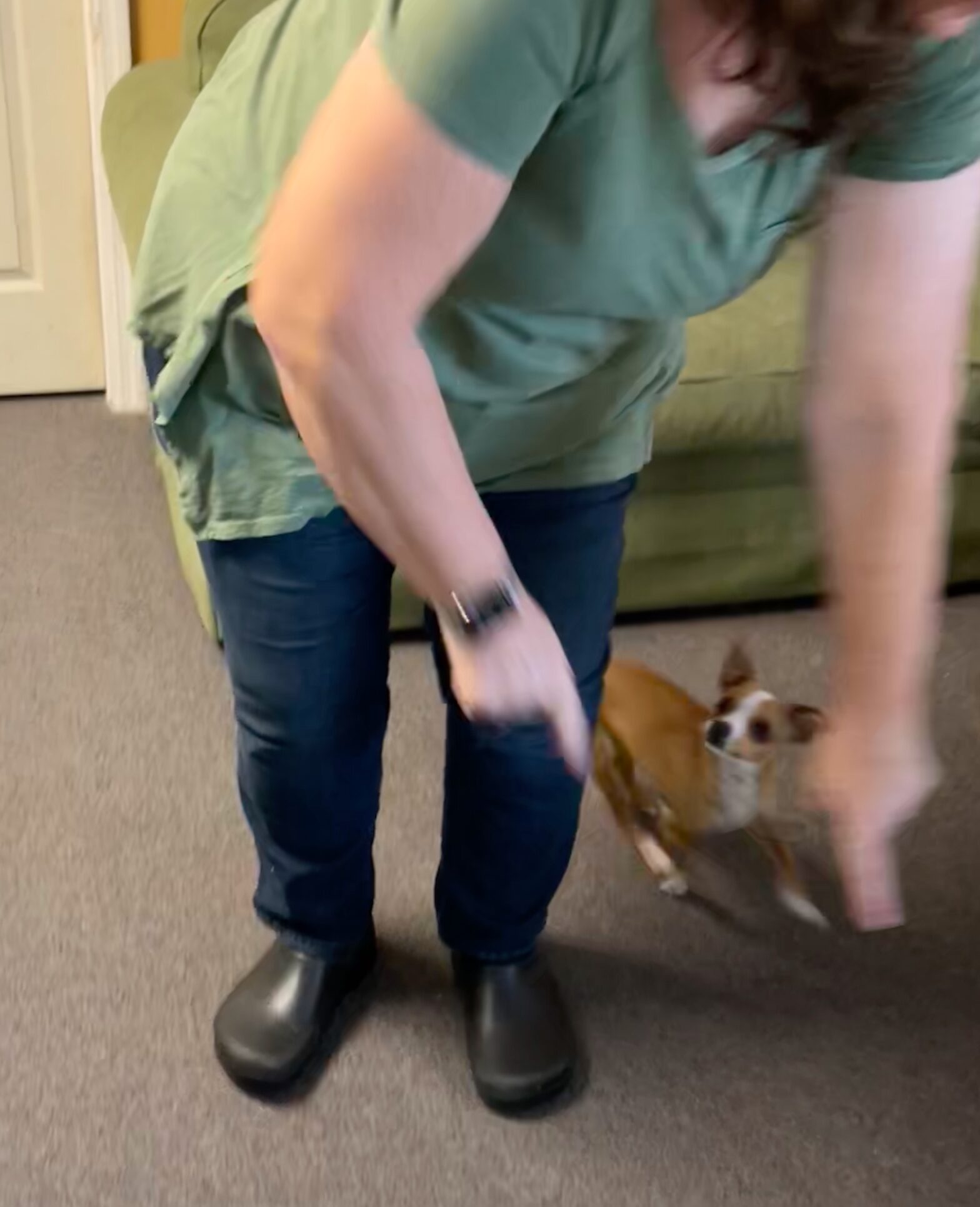 Autism Service Dog Tasks, Work, and Benefits - ELLAS Animals INC